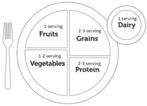 The Healthy Plate Model - Essentials of Healthy Eating | D'Connect