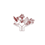 The Healthy Plate Model - Essentials of Healthy Eating | D'Connect