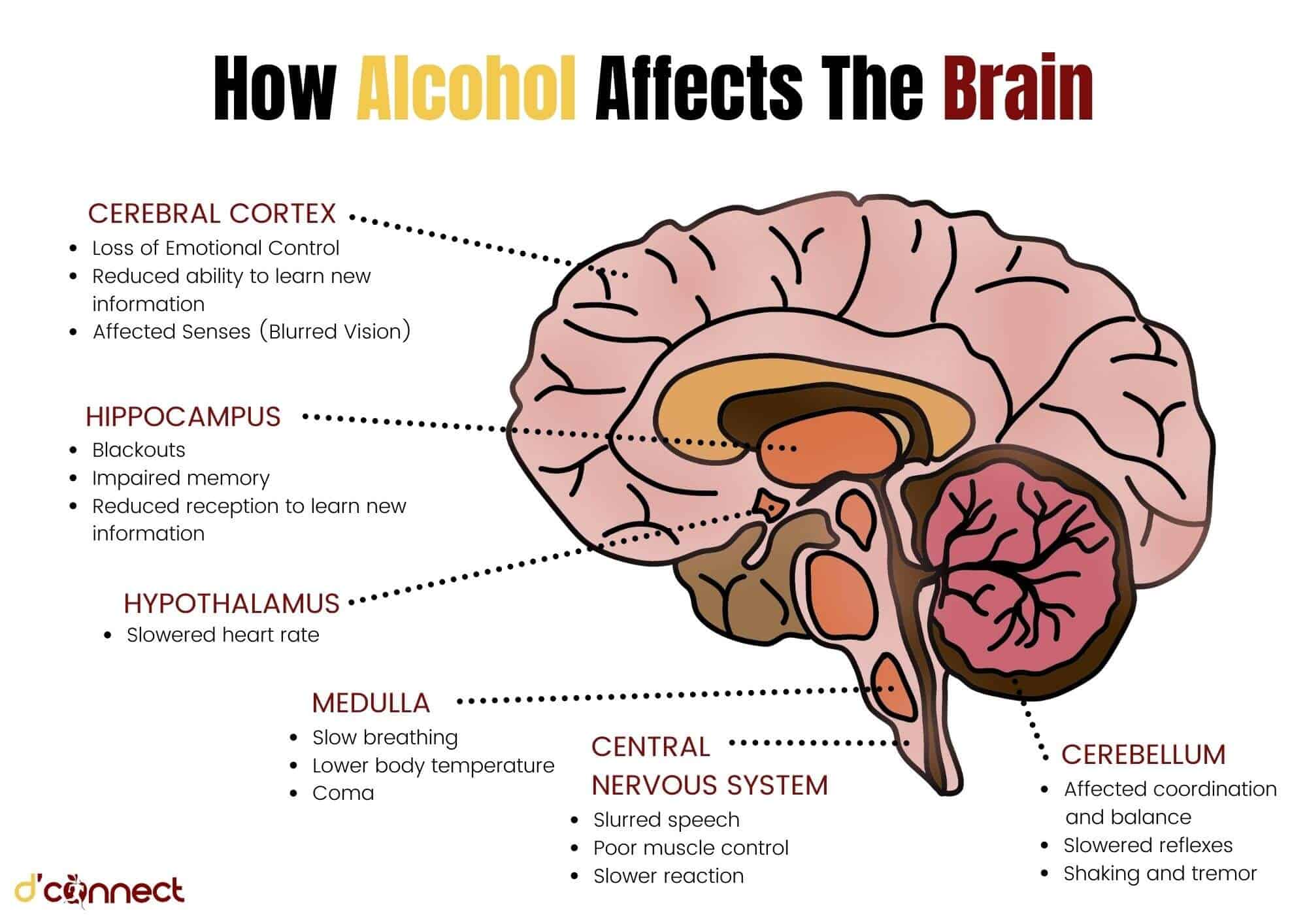 Alcohol and Performance: Physical and Physiological effects | D'Connect