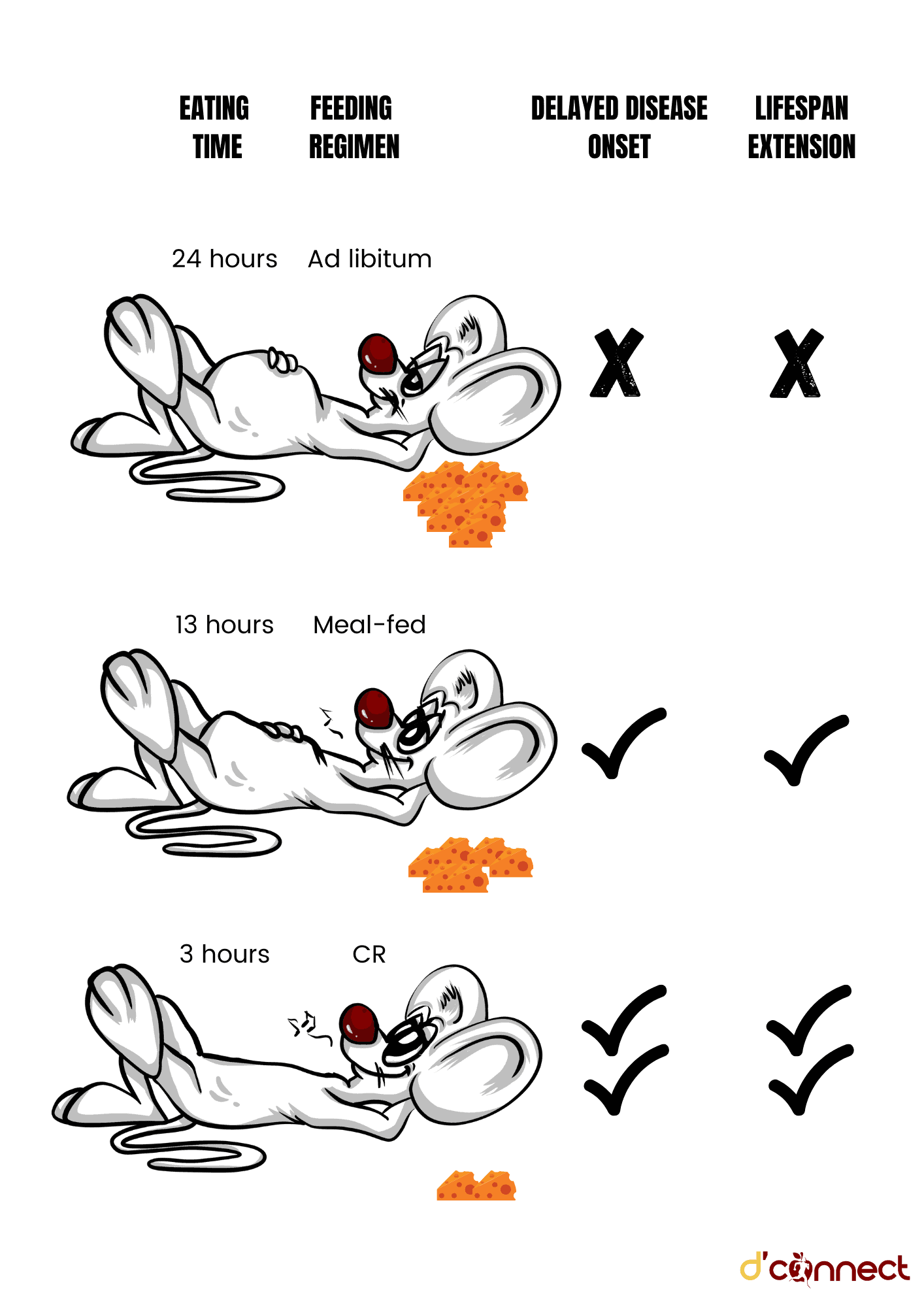 Intermittent Fasting - The Medicine of Old | D'Connect
