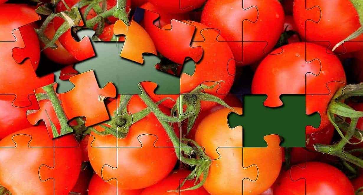 Introduction to Nutrigenomics: Eat based on your DNA | D'Connect