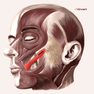 The power of a smile: How to improve your health and decrease stress ...