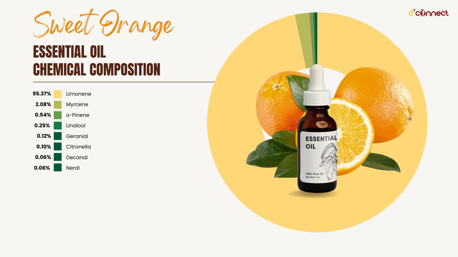 Sweet Orange (Citrus Sinensis) | D'Connect