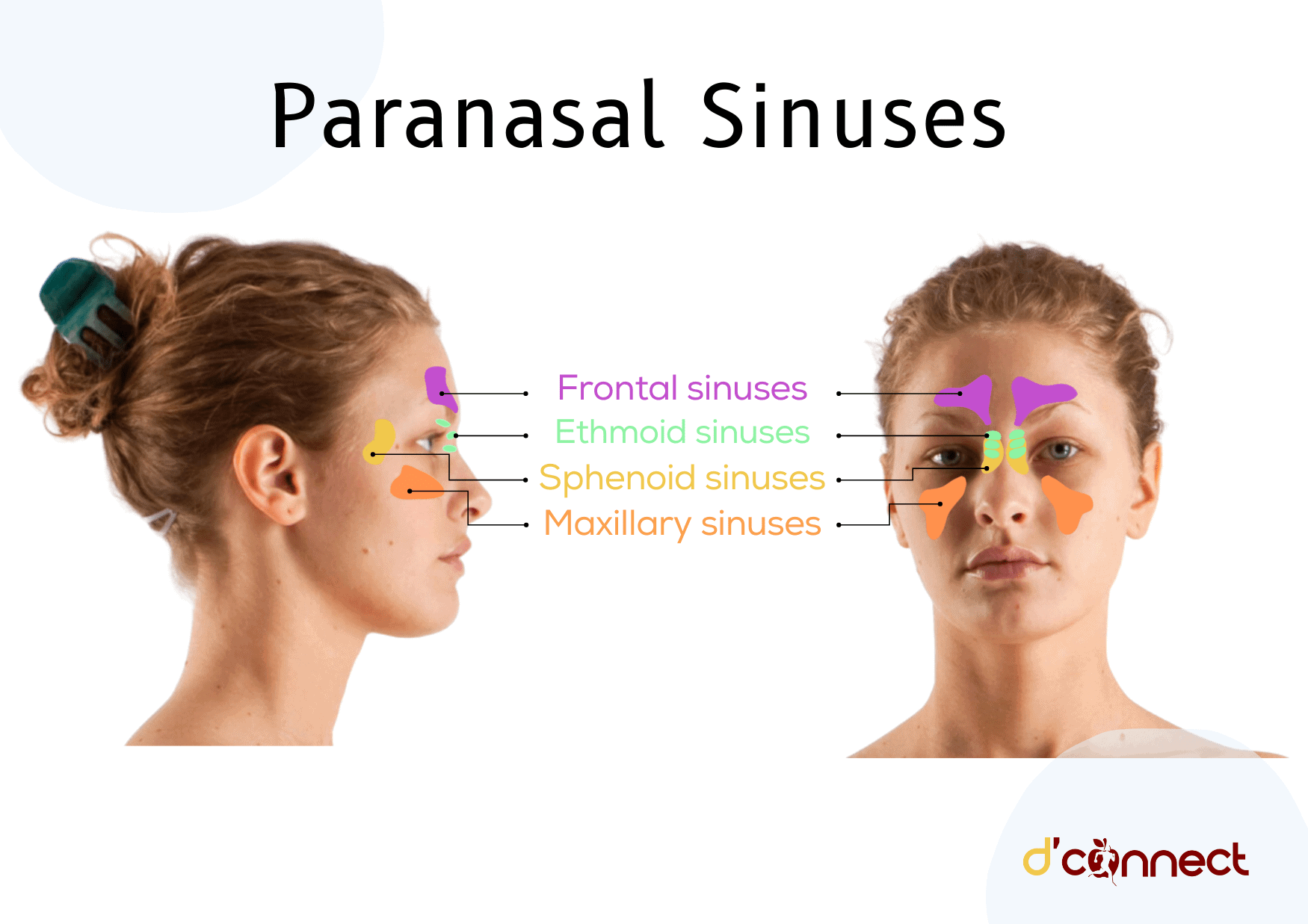 Natural remedies: For our respiratory health (sinuses, throat and lungs ...
