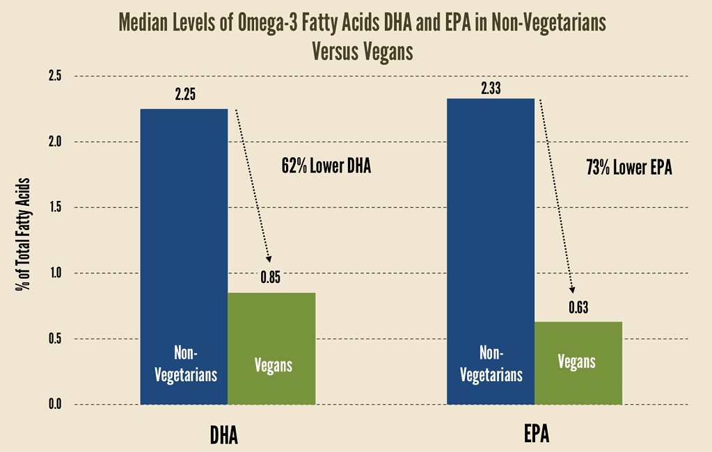 Health Risks of Long-Term Vegan and Vegetarian Diet (Part 1) | D'Connect