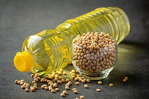 Fats in plant-based products: Refined vegetable oils or Cold-pressed ...