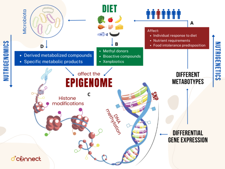 DNA Diet — How nutrigenomics can improve your health | D'Connect
