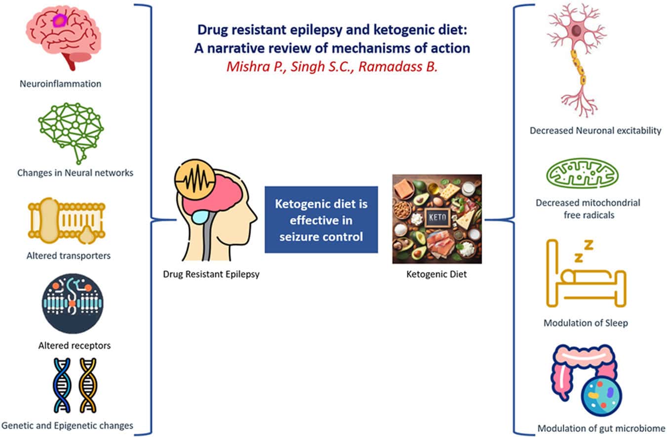 Introduction to: The Ketogenic Diet (Part 2) | D'Connect