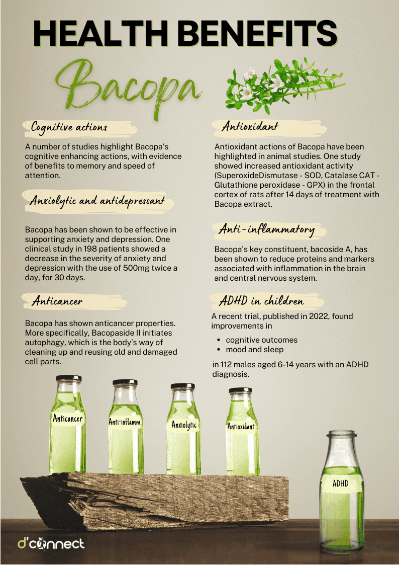 Bacopa (Bacopa monnieri) | D'Connect